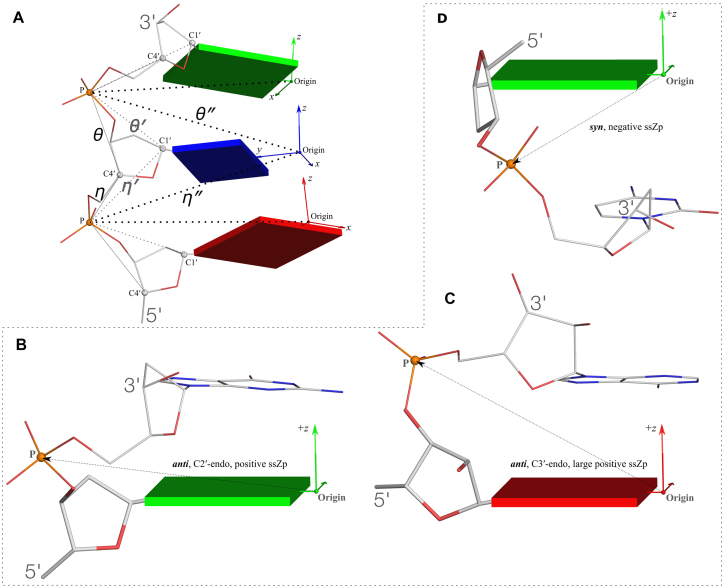 Web 3DNA 2.0，用于三维核酸结构的分析、可视化和建模。 - Book学术