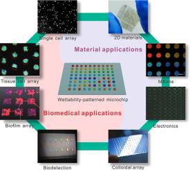 Wettability-patterned microchip for emerging biomedical materials and ...