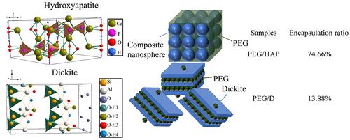 Surface Adsorption in PEG/Hydroxyapatite and PEG/Dickite Composite ...
