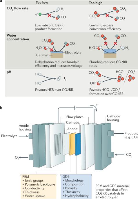 Gas diffusion electrodes and membranes for CO2 reduction electrolysers ...