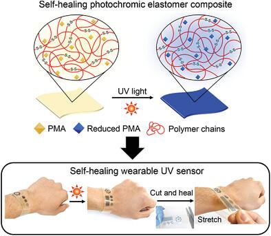 Self-Healing Photochromic Elastomer Composites for Wearable UV-Sensors ...