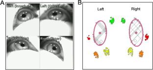 Assessing the data quality of AdHawk MindLink eye-tracking glasses ...