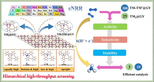 Diatomic Active Sites Embedded Graphyne as Electrocatalysts for Ammonia ...