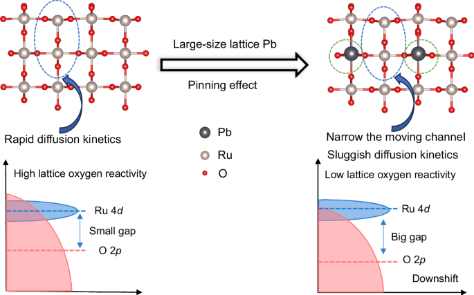 Pinning effect of lattice Pb suppressing lattice oxygen reactivity of Pb-RuO2 - Book学术