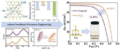 Synergistic Crystallization Modulation and Defects Passivation in Kesterite - Book学术