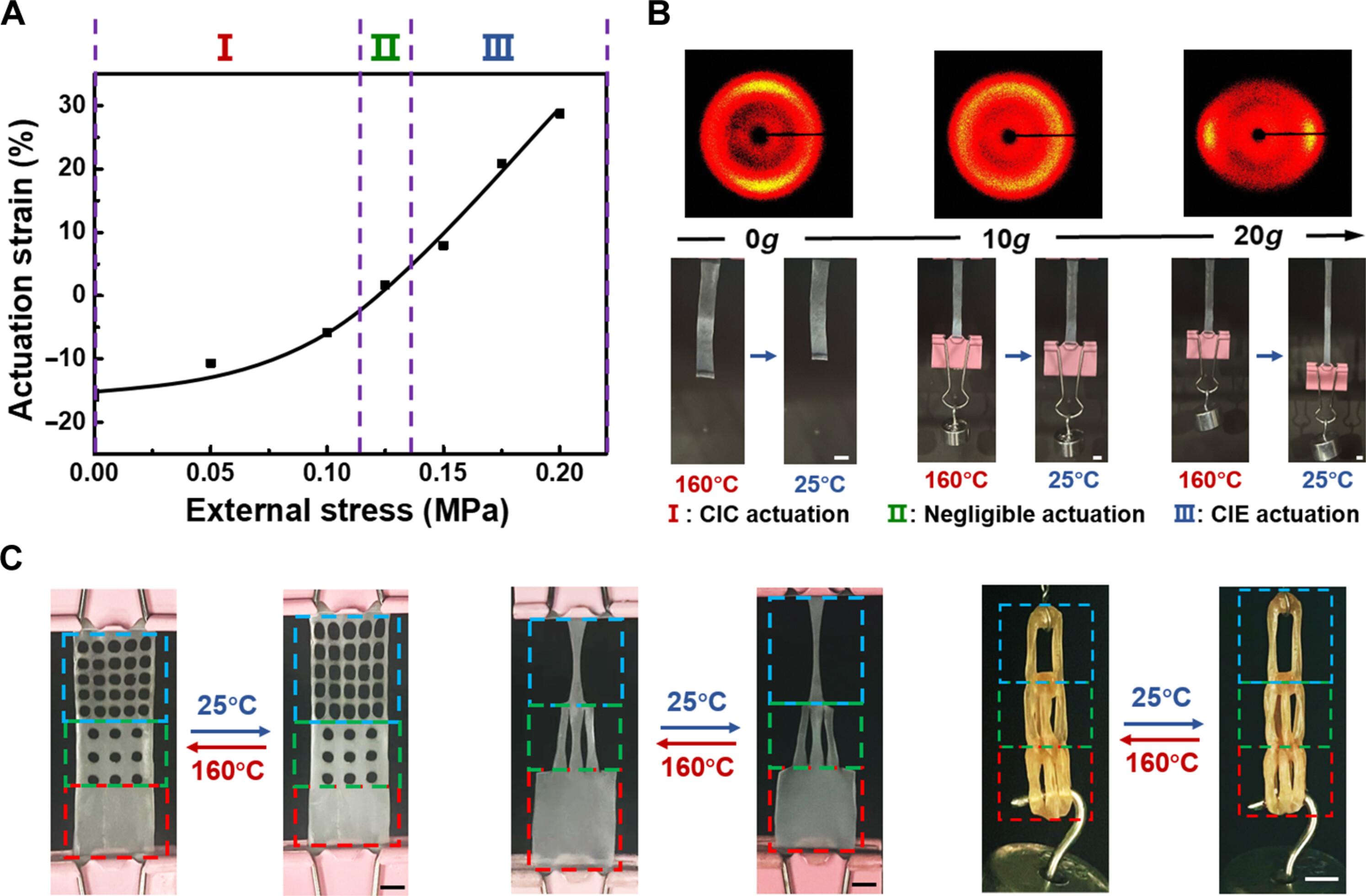 Pluralizing actuation behavior of 3D printable liquid crystal ...
