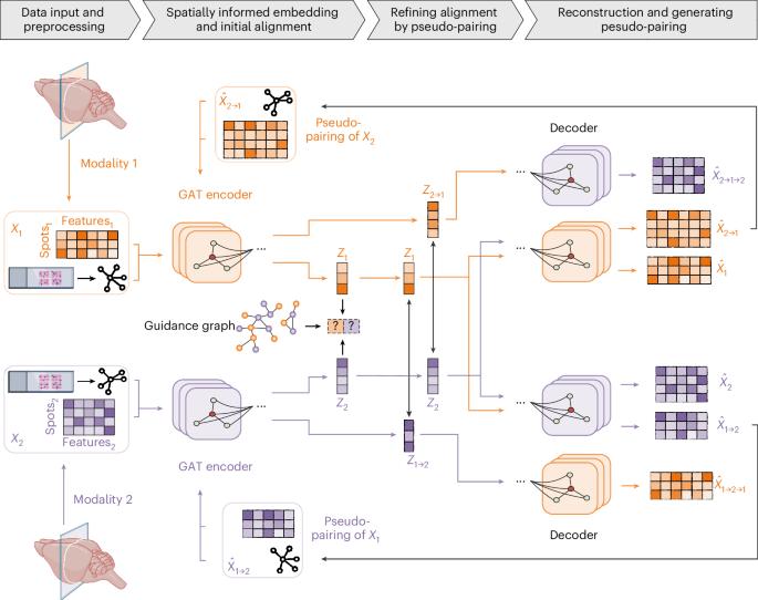 Integrative deep learning of spatial multi-omics with SWITCH - Book学术