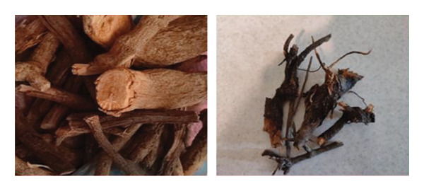Honey-Based Sodium Alginate-Polyvinyl Alcohol Hydrogel Containing Green ...