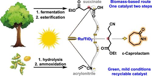 Photo/Thermal Sequential Catalytic Production of Bio-ε-Caprolactam from ...