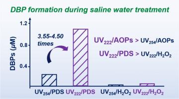 Far UVC photolysis of PDS and H2O2 in saline water generates ...