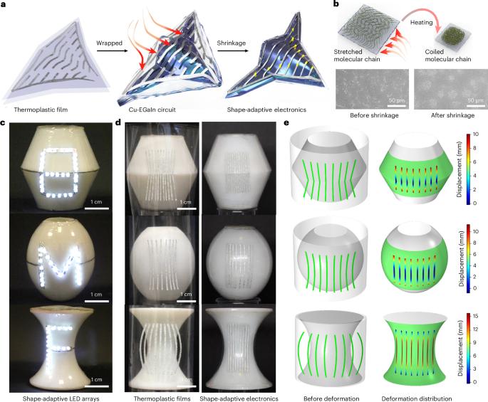 Shape-adaptive electronics based on liquid metal circuits printed on ...