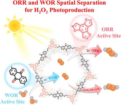Efficient Photocatalytic Synthesis of H2O2 via Spatial Separation ...