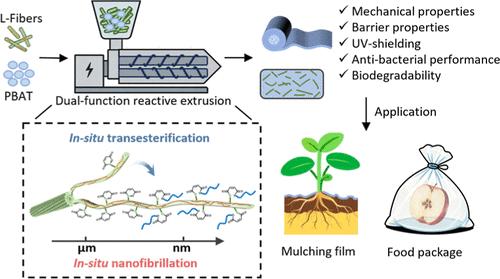 Dual-Function Reactive Extrusion of Lignocellulosic Fibers for High ...