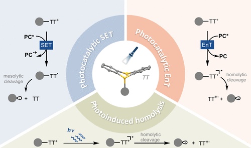 Thianthrenium Salts in Photochemistry - Book学术