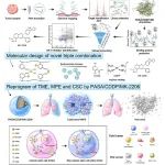 AFM：基于先进分层计算模拟方法合理开发铂(II)纳米复合物提升肺癌治疗 - Book学术