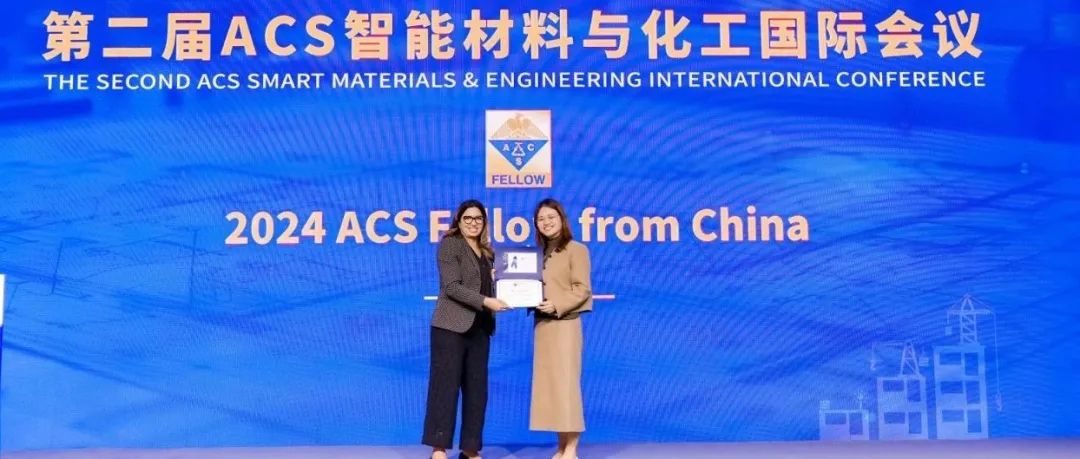 2024 ACS Fellow from China - Book学术