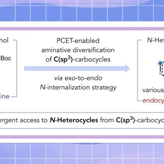 【JACS】Robert Knowles团队：质子耦合电子转移促使1,2-氨基醇扩环合成胺类杂环化合物 - Book学术