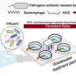 成都理工大学史志坚、许文来和复旦大学罗刚等ES&T：揭示污水处理厂抗性基因传播机制，为污水耐药性污染防控提供新策略 - Book学术