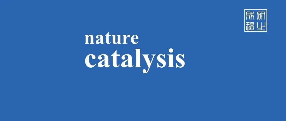 原位催化，Nature Catalysis! - Book学术
