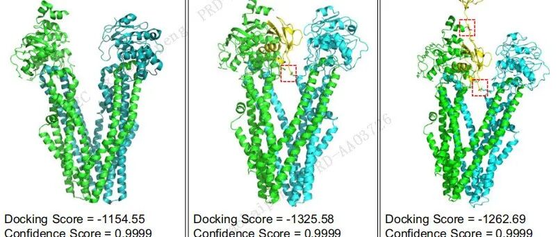 中科院发现阻断抗原呈递的关键靶点—UBE2D3 - Book学术