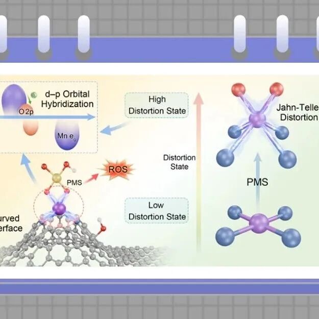 【Nat. Commun.】中山大学严凯/仇荣亮&清华大学王定胜：弯曲界面诱导单原子催化剂Jahn-Teller效应用于水净化 - Book学术