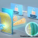 深大王春枫研究员/朱德亮教授、北航潘曹峰教授等 AFM：圆偏振力致发光 - Book学术