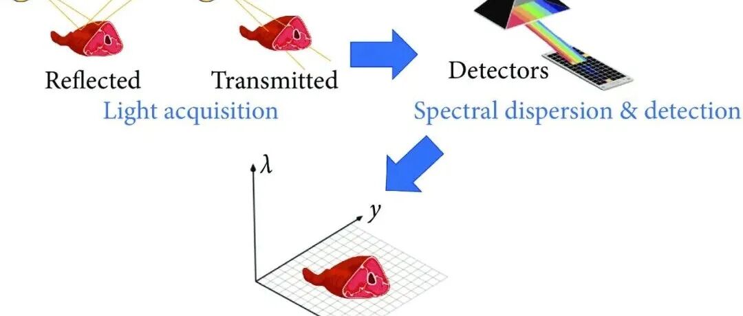 FSAP |\u00A0成都大学吉莉莉副教授、陈林副研究员等：高光谱成像技术在干腌火腿质量检测中的应用进展 - Book学术