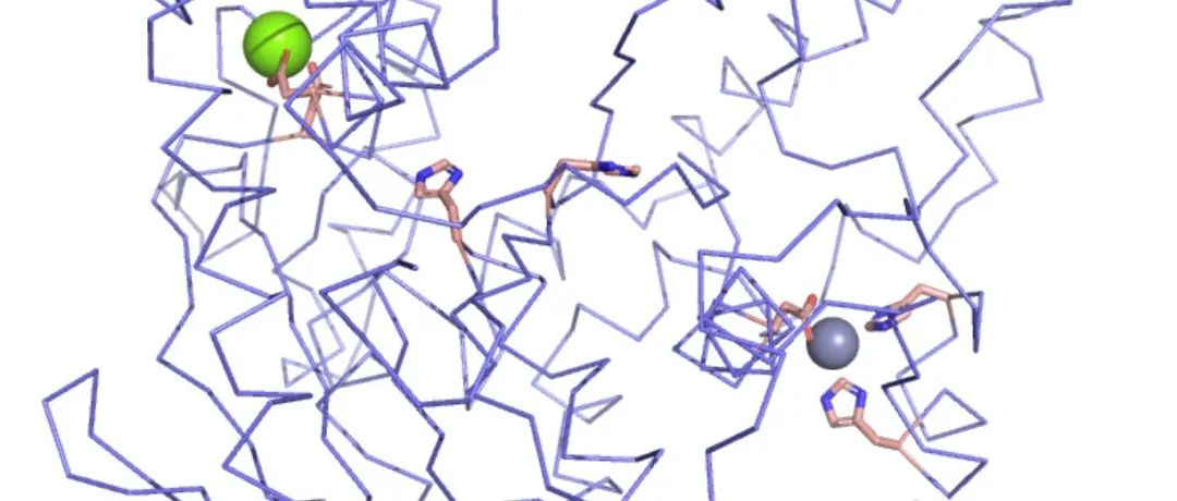 教程 | 我研究的蛋白结合金属吗？ - Book学术