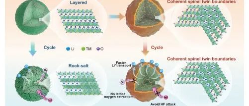 清华深研院李宝华/王自强/周栋&北工大章立寒合作AM：钨掺杂实现高容量高镍层状氧化物正极材料 - Book学术