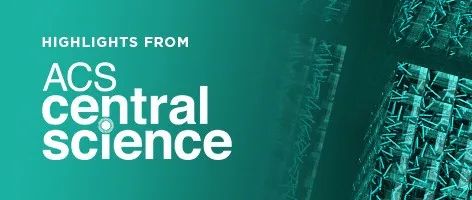 清华大学刘磊团队ACS Cent. Sci. | 人类蛋白型态组的化学合成及生物医学应用 - Book学术