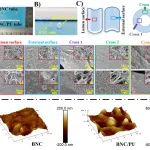 东华大学洪枫教授团队 IJBM：力学性能优异的新型弹性细菌纳米纤维素/聚氨酯小口径人工血管 - Book学术