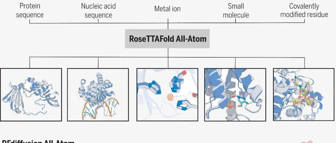 Nat Methods｜基于人工智能预测通用生物分子相互作用 - Book学术